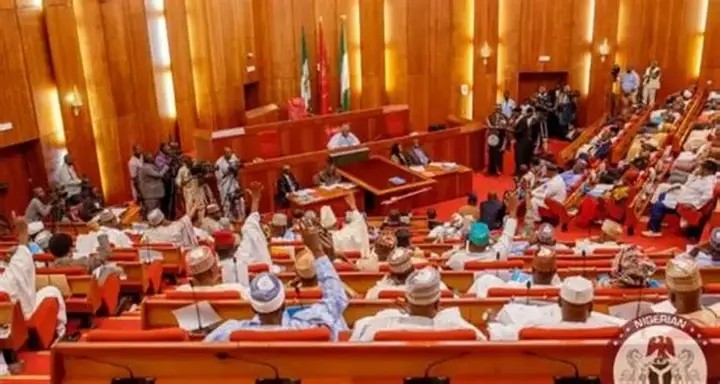 Oyo School Attack: Outrage As Abduction Videos Emerge, Senate, Yoruba ...